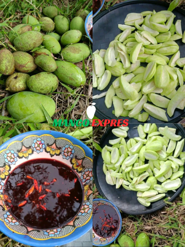 Baromasi Raw Mango। বারোমাসি কাঁচা আম - MANGO EXPRES